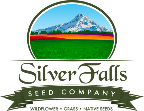Silver Falls Seed Company - Orchardgrass